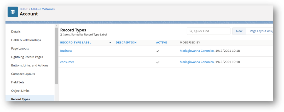 I Record Types in Salesforce