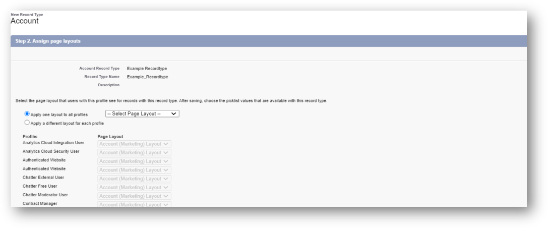 I Record Types in Salesforce